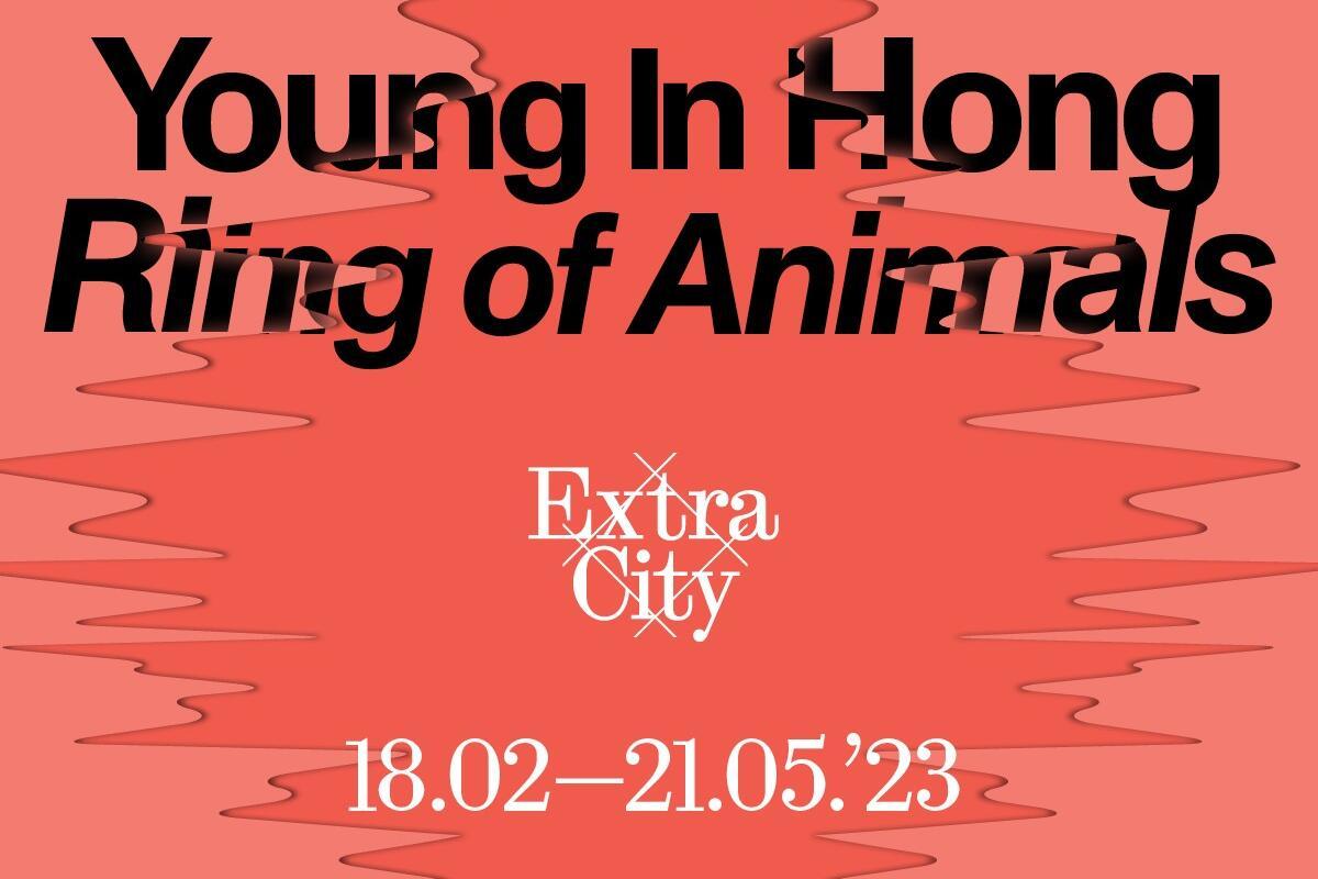 Young in Hong - Ring of Animals | OKV